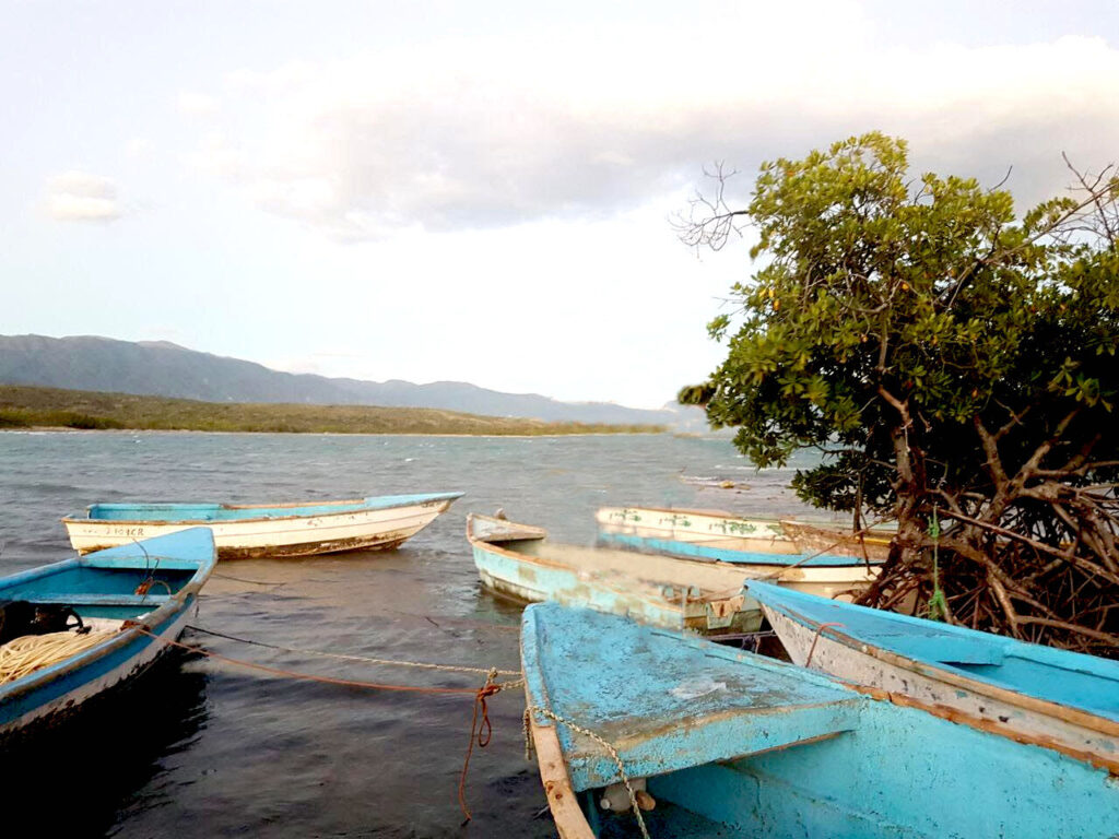 Anulan licitación para acondicionamiento de playa Monte Río, Azua ...